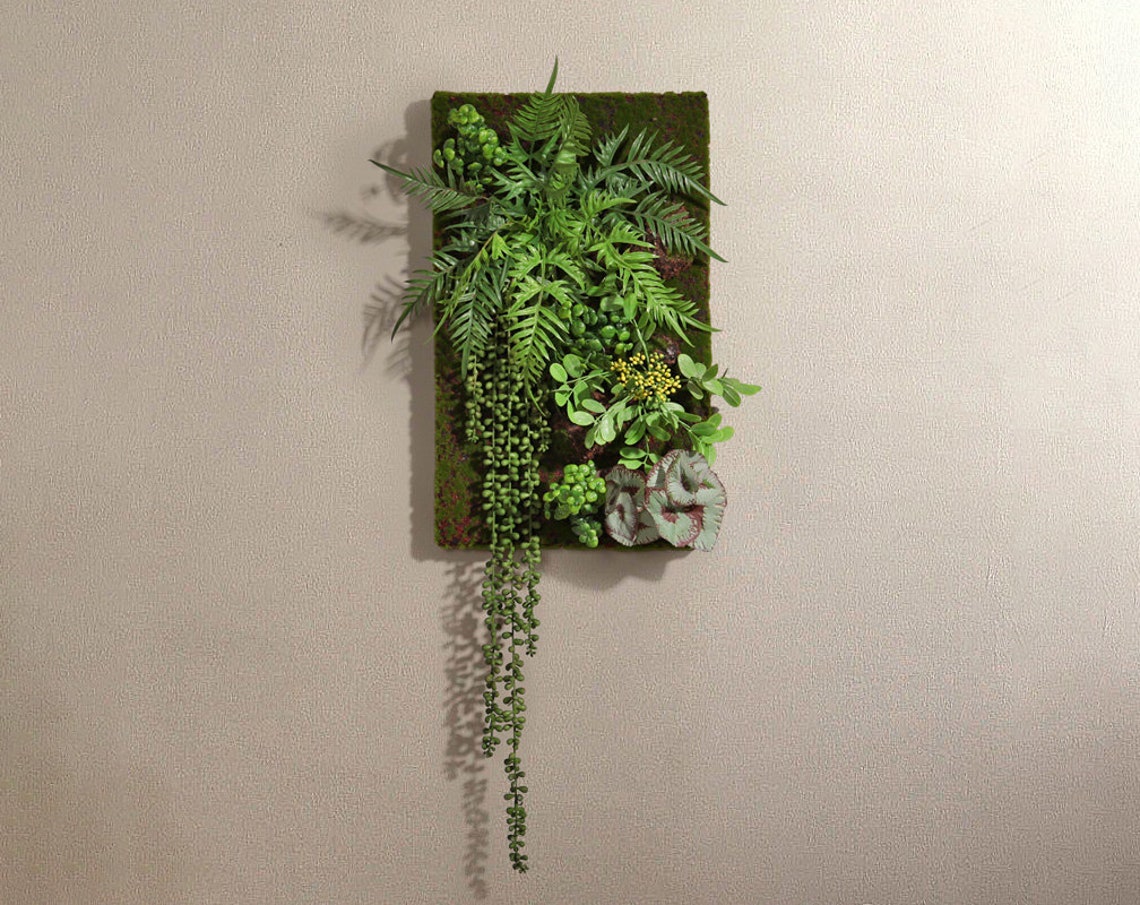 Artificial Plant Succulent Wall Art Succulent Wall Art - Etsy