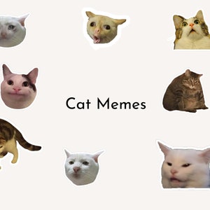 170 Meme Folder Icon Pack for Windows and Mac Icons Notion - Etsy UK