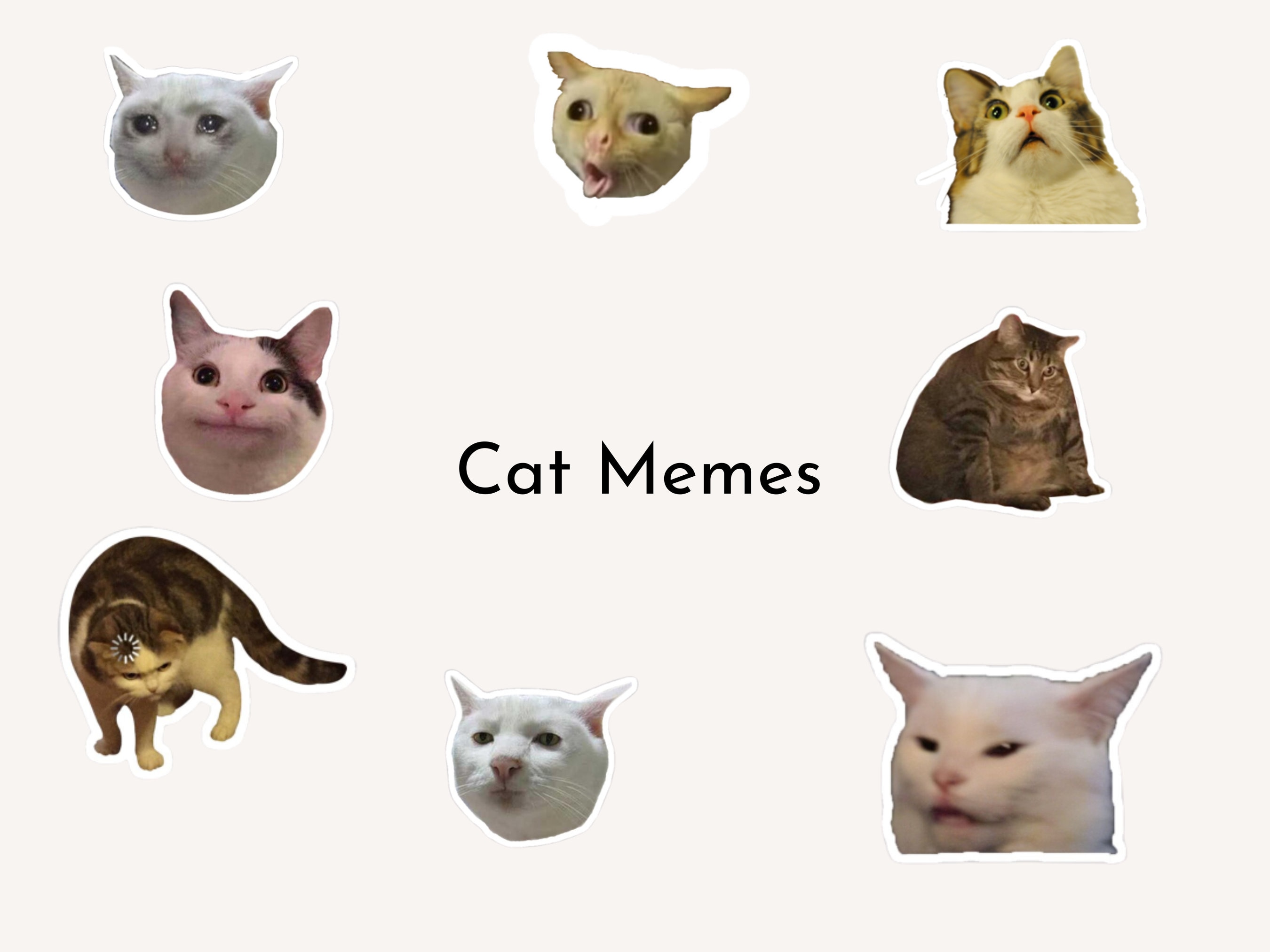 170 Meme Folder Icon Pack for Windows and Mac Icons Notion Icons ...