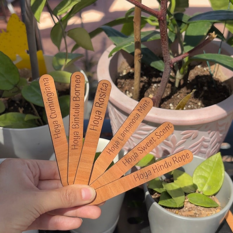 Plant Labels - Etsy