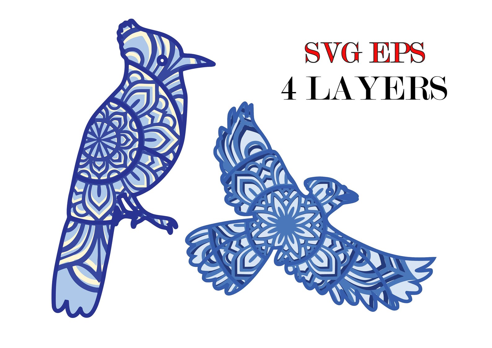 BLUE JAY 4 layers Digital download svg eps files | Etsy