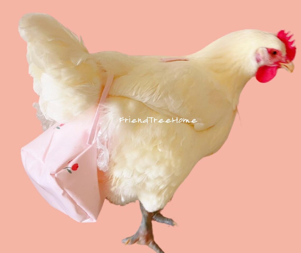 Custom Size Chicken Diapers, Waterproof Hens Diaper, Roosters Diapers ...