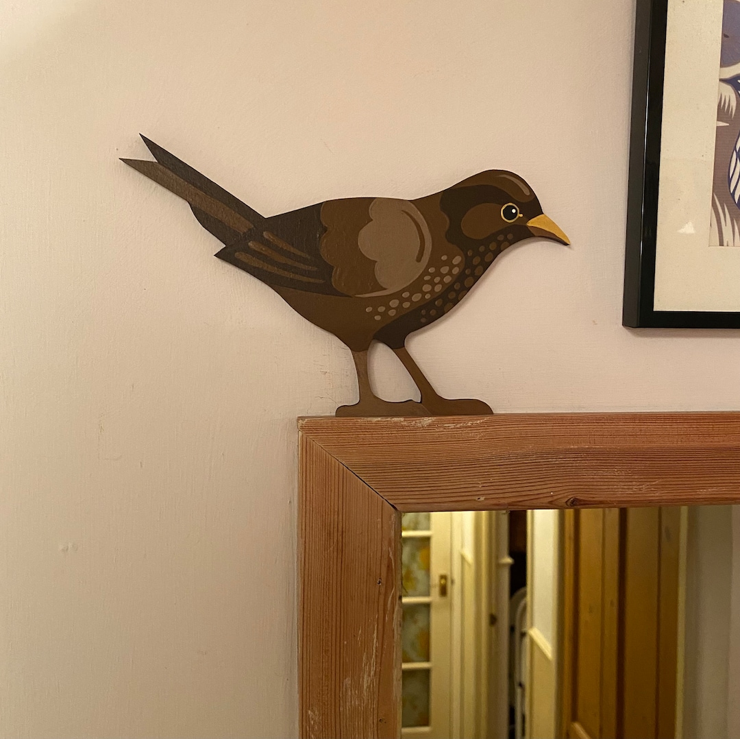 Female Blackbird to Sit on a Door Frame - Etsy