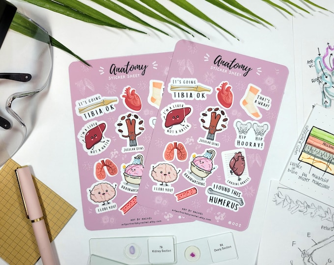 Biology Sticker Sheet Science Genetics Pre-med Bullet - Etsy