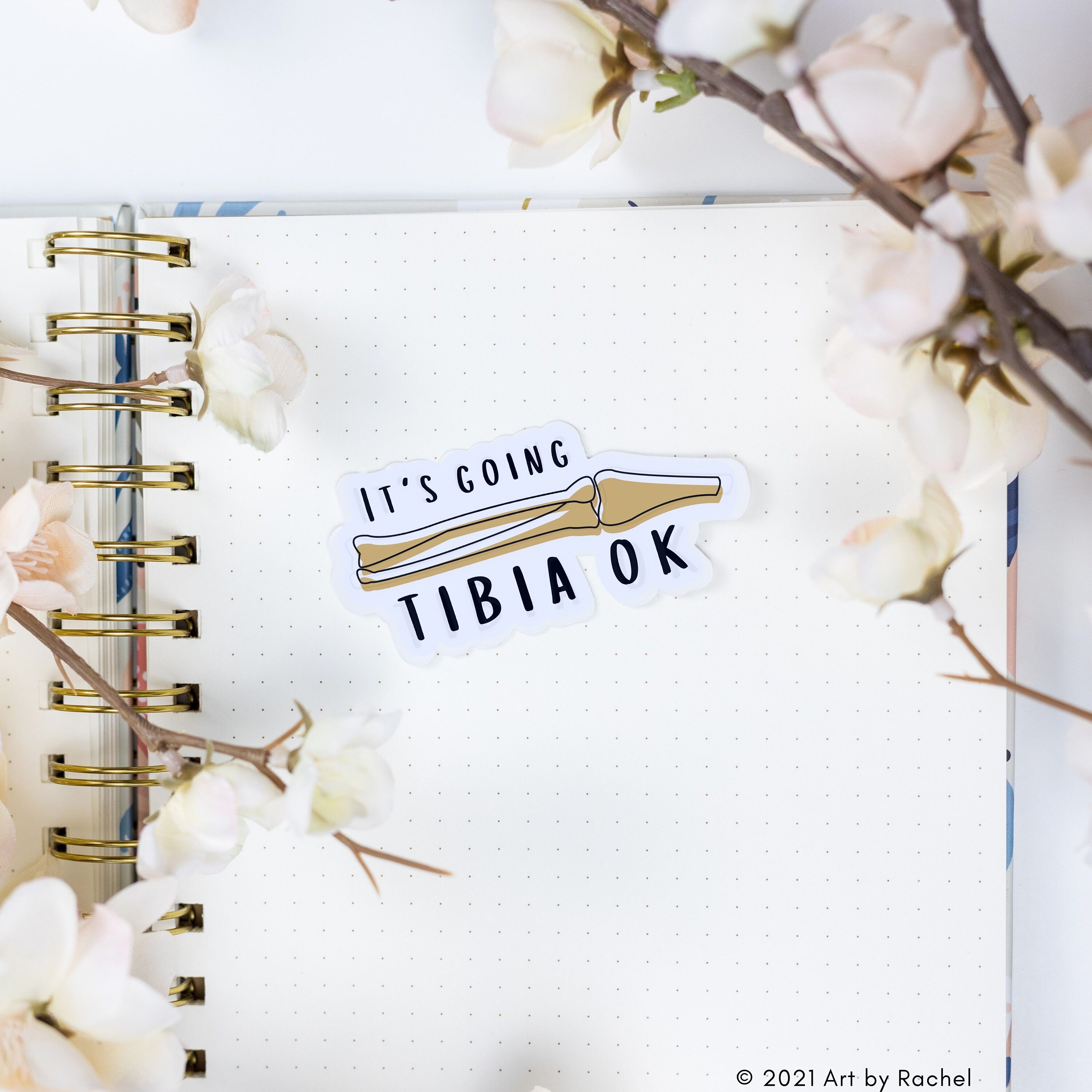 Anatomy Pun Stickers Science Anatomy Medical Nursing - Etsy UK