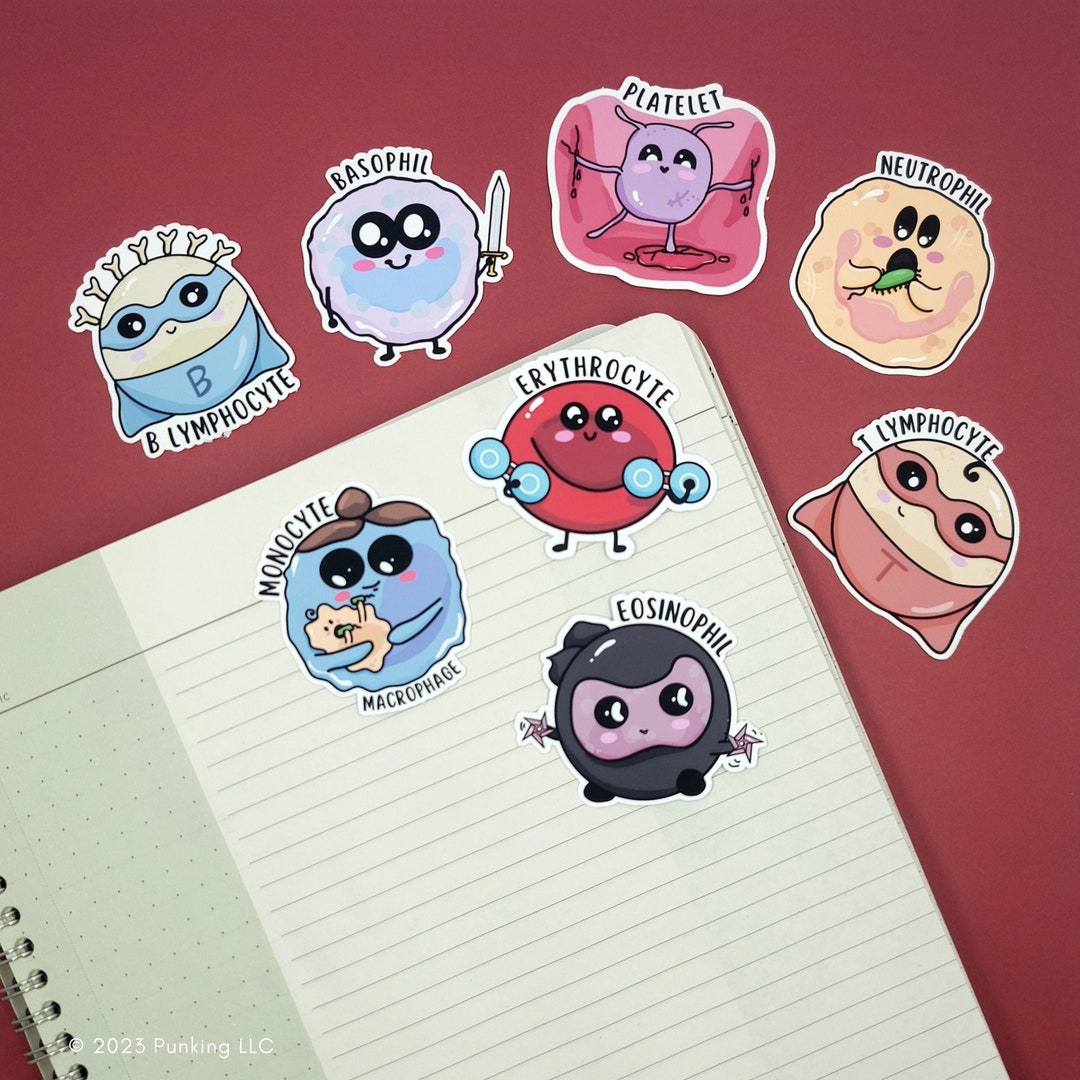Blood Cells | Stickers or Magnets | Science, Hematology, Medical ...