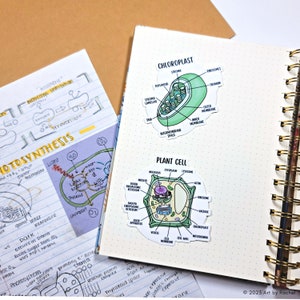 Cell Organelles | 5 Stickers or Magnets | Science, Pre-med, Lab - Etsy