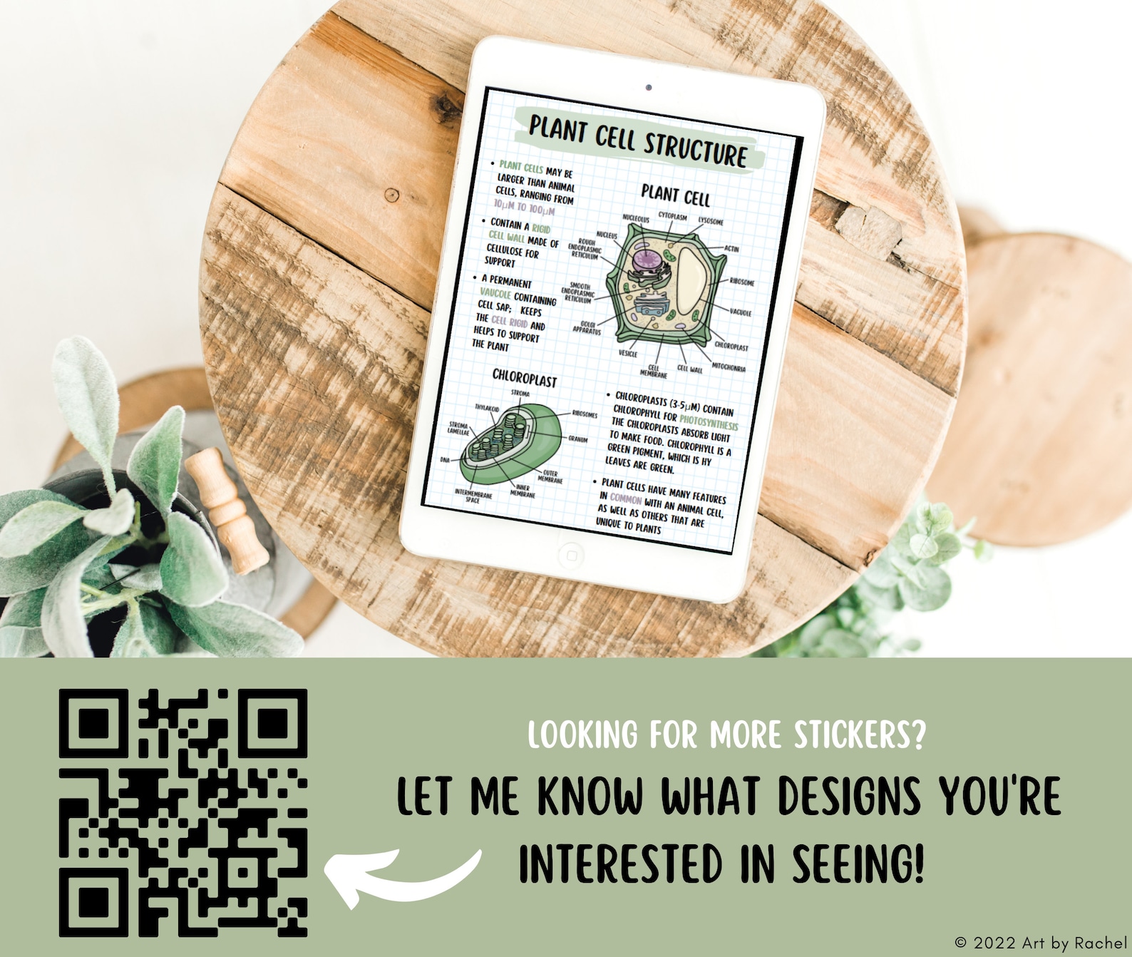 Cell Structure and Organelles | Digital Stickers | PNG File Download ...