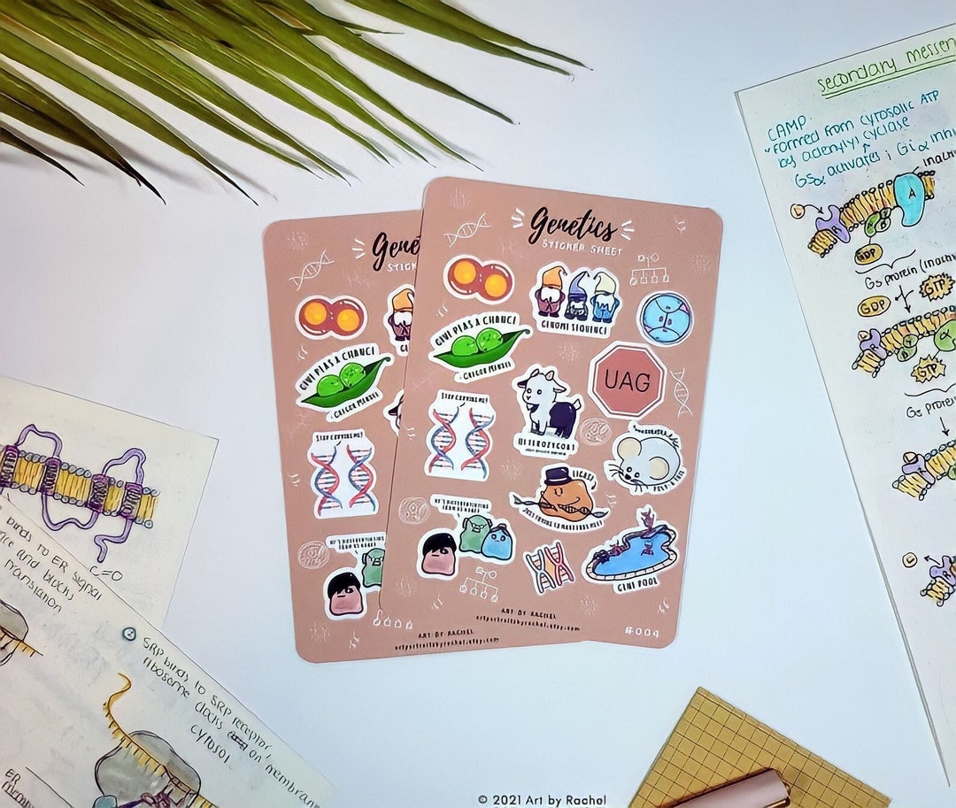 Genetics Sticker Sheet | Science, Biology, Pre-med | Bullet Journal ...