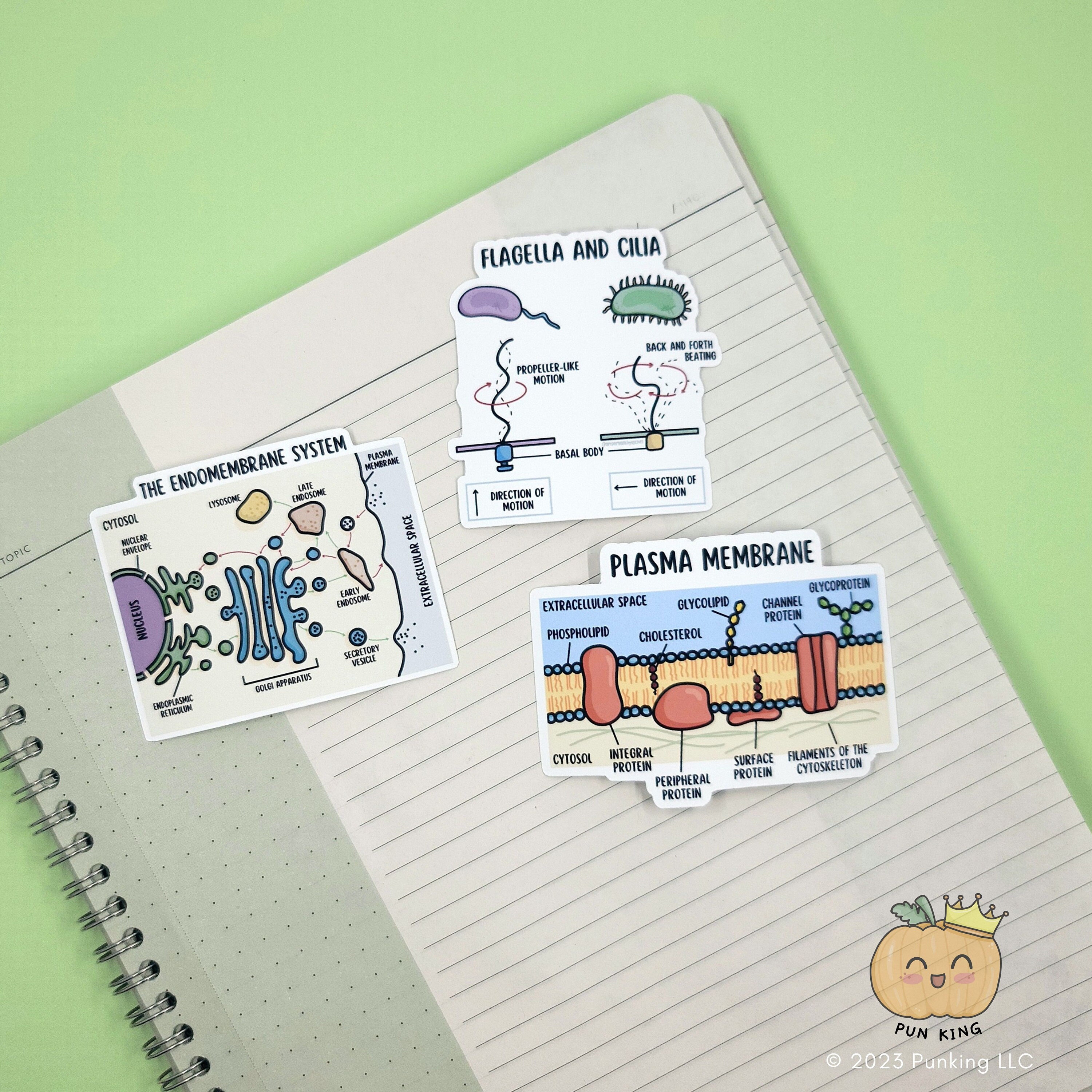 Cell Structure 5 Stickers or Magnets Science Pre-med Lab - Etsy