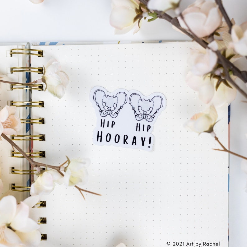 Anatomy Pun Stickers Science Anatomy Medical Nursing - Etsy UK