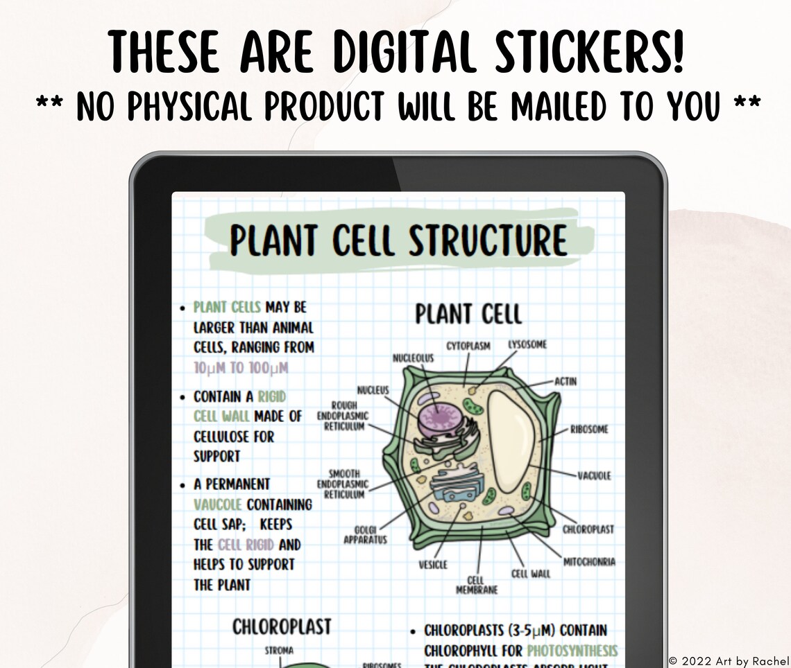 Cell Structure and Organelles Digital Stickers PNG File - Etsy