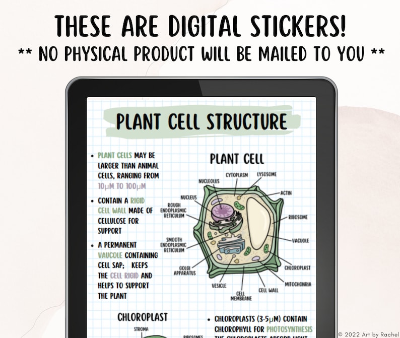 Cell Structure and Organelles Digital Stickers PNG File | Etsy