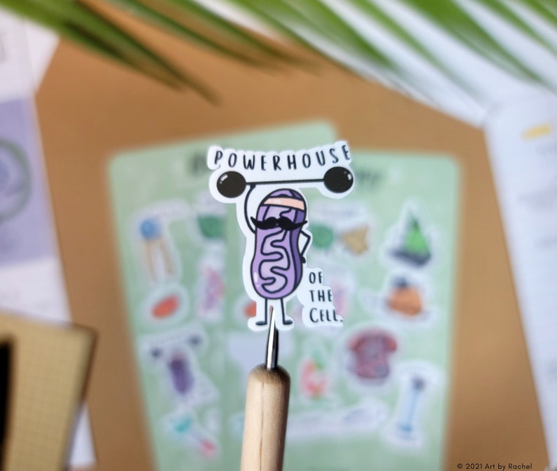 Biology Sticker Sheet Science Genetics Pre-med Bullet - Etsy