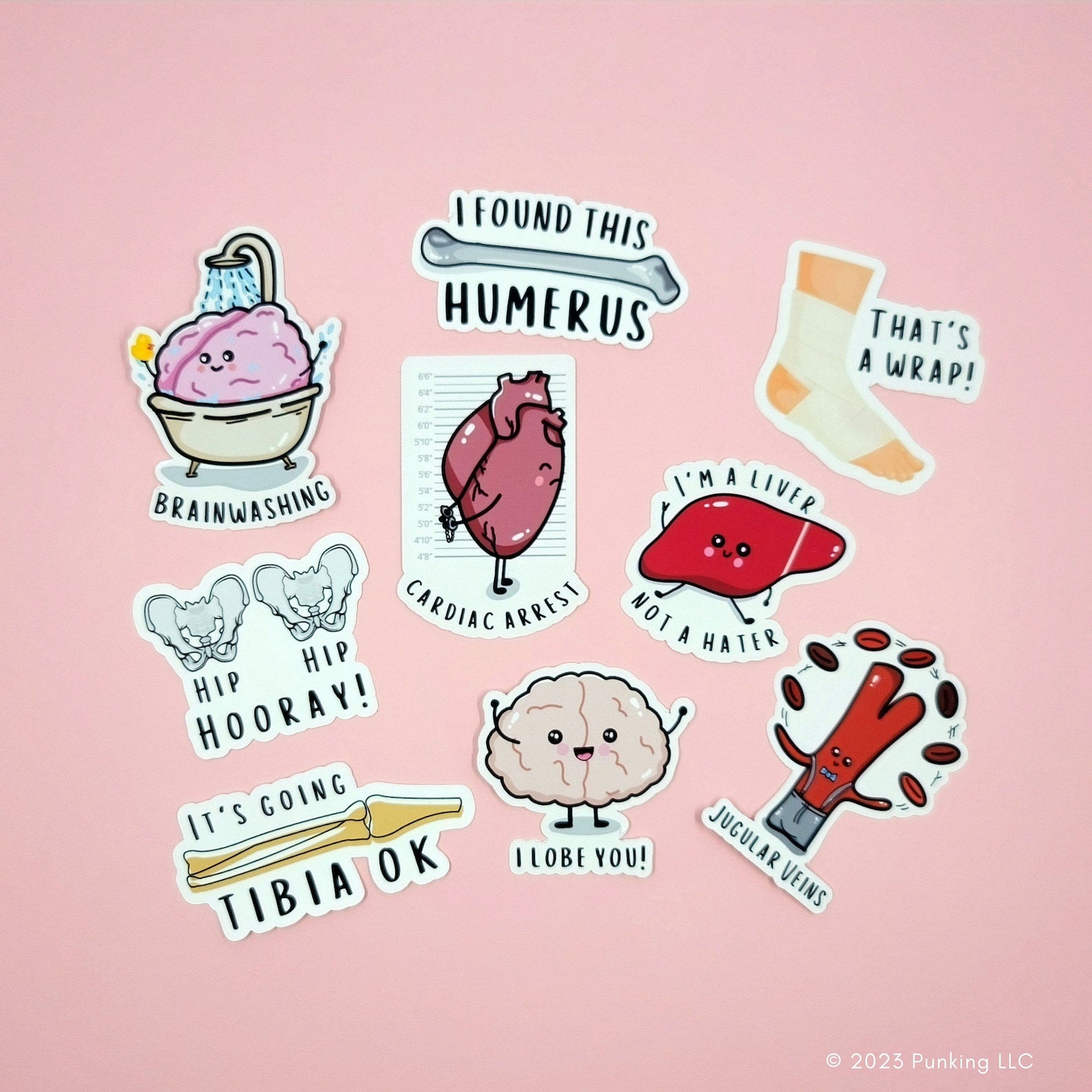 Anatomy Pun Stickers Science Anatomy Medical Nursing - Etsy