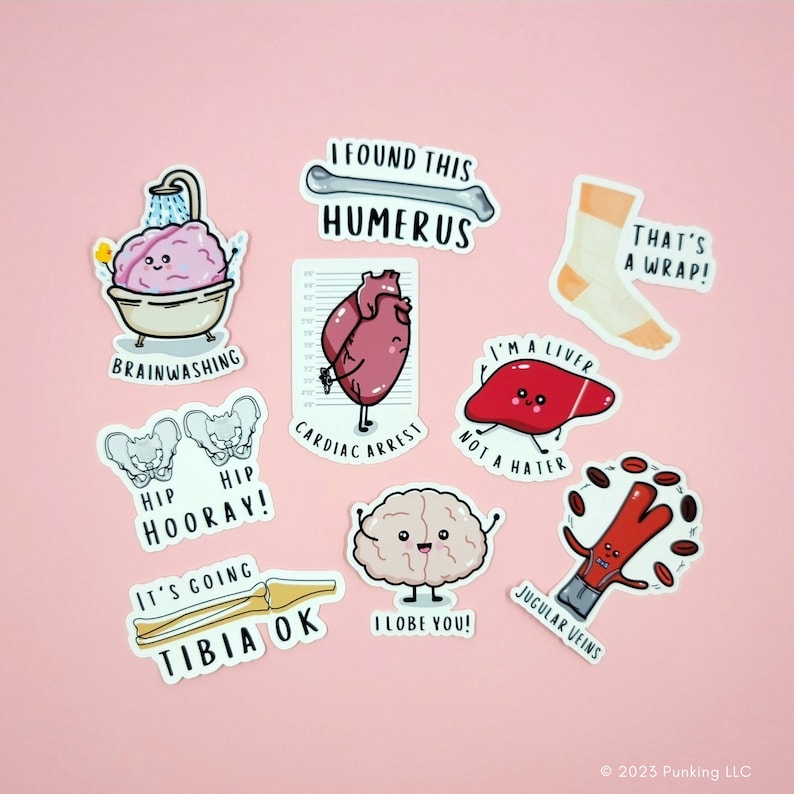 Anatomy Pun Stickers Science Anatomy Medical Nursing - Etsy