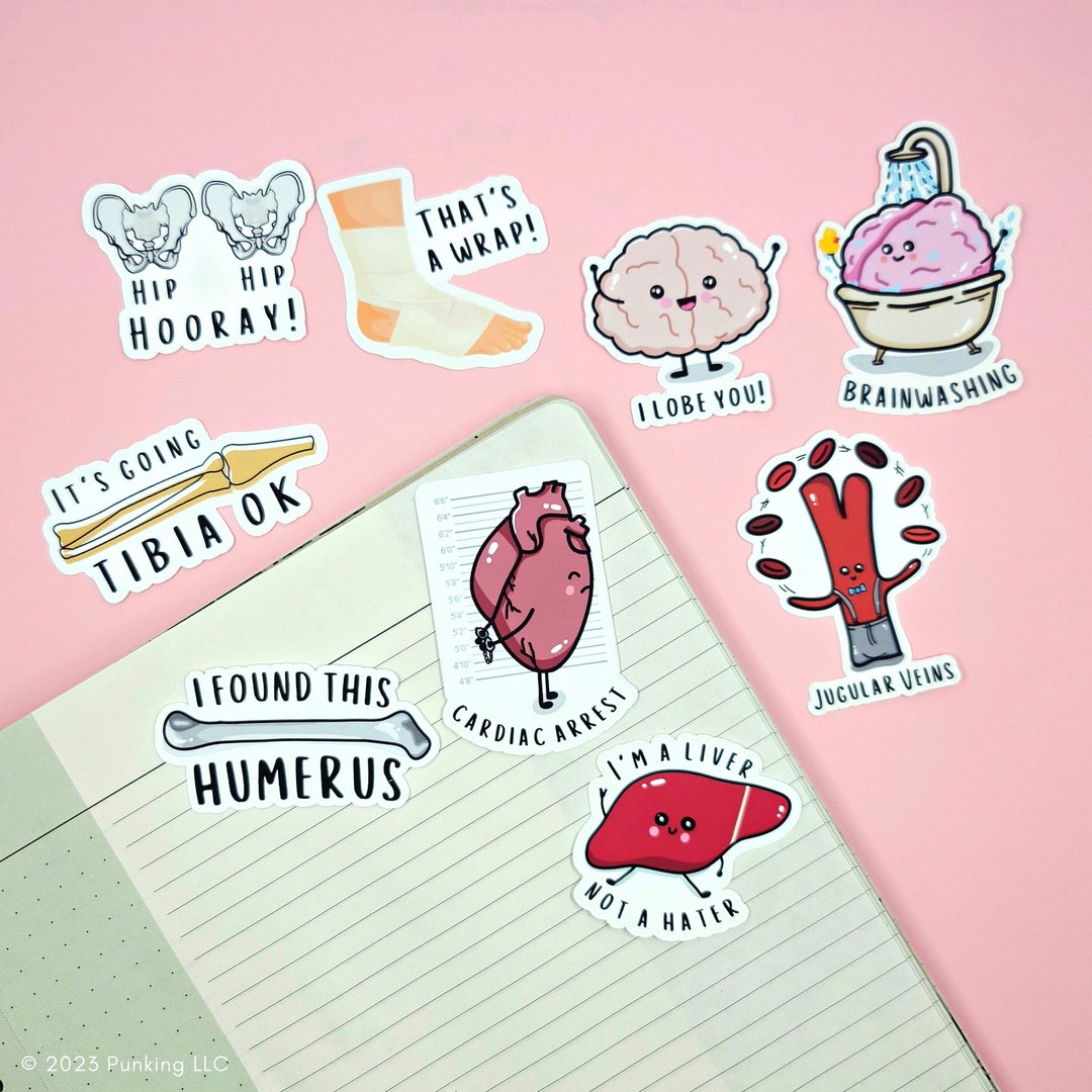 Anatomy Pun Stickers | Science, Anatomy, Medical, Nursing | Water ...