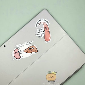 Medical Pun Stickers | Science, Medicine, Pre-med, Anatomy | Water ...