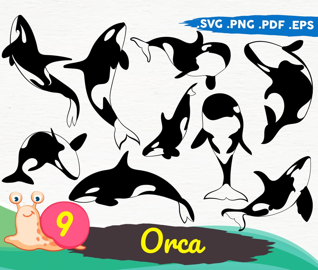 Orca Svg, Killer Whale Svg, Orca Clipart, Whale Svg, Orca Png, Orca Psd ...