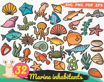 Jellyfish Clipart Jellyfish Printable Marine Animal Clipart - Etsy