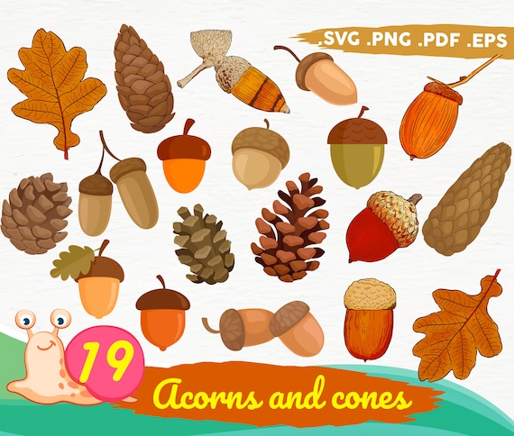 Acorns Clip Art