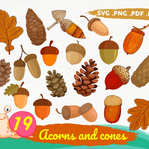 Acorn Clipart - Etsy