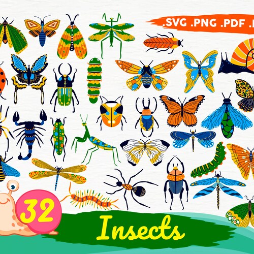 INSECT SVG Butterfly Svg Insect Clipart Dragonfly Svg Bug - Etsy