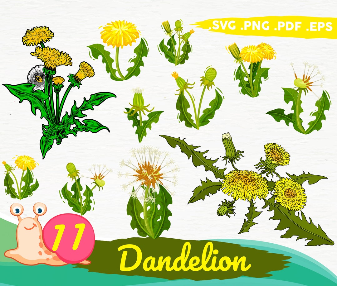 Dandelion Svg, Dandelion Svg Bundle Files, Dandelion Print File, Flower ...