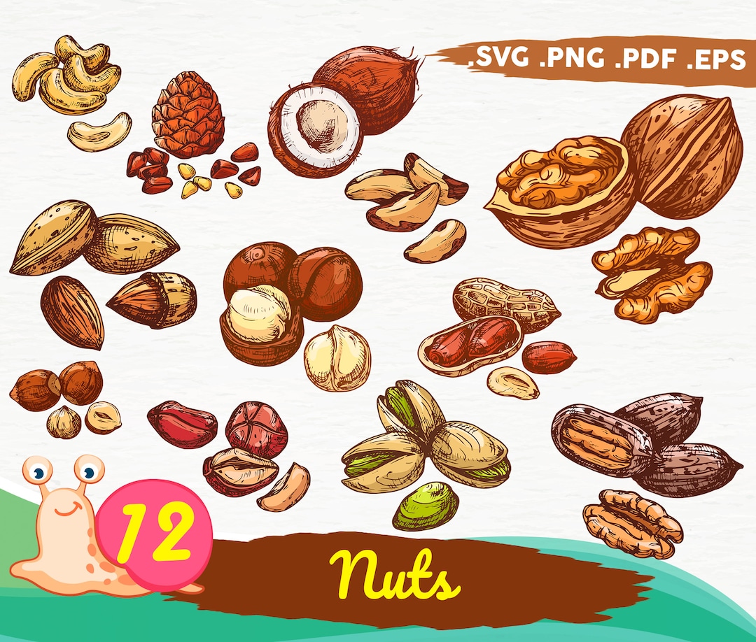 Nuts Svg,nut Svg Bundle, Nutcracker Svg, Nuts Vector, Silhouette Nut ...