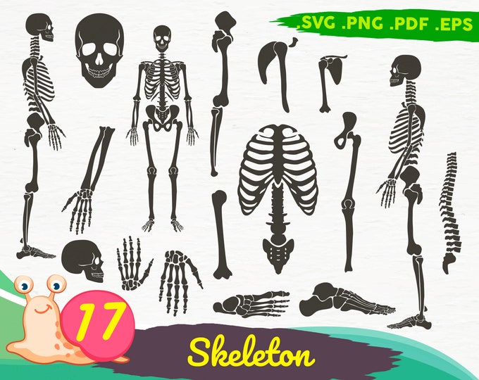 Skeleton Parts SVG, Skeleton Bones Svg, Body Parts Svg, Skeleton Parts ...