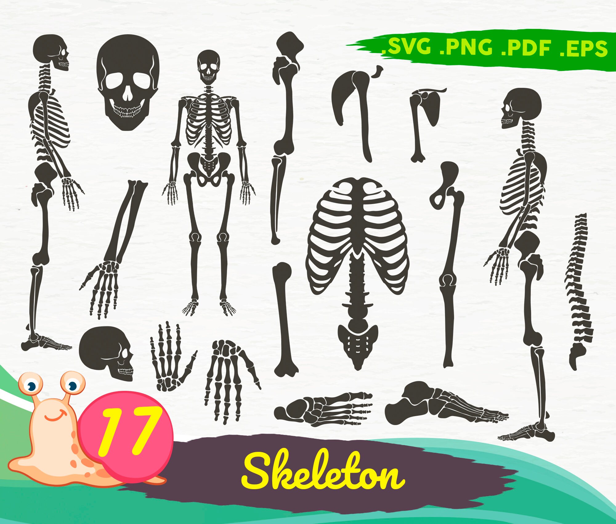 SKELETON PARTS SVG, Skeleton Svg, Skeleton Parts Png, Skull Svg, Cricut ...