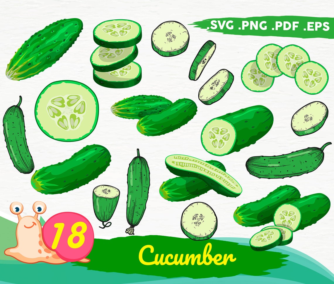CUCUMBER Svg,vegetable Svg, Cucumber Clipart, Cucumber Vector, Vegan ...