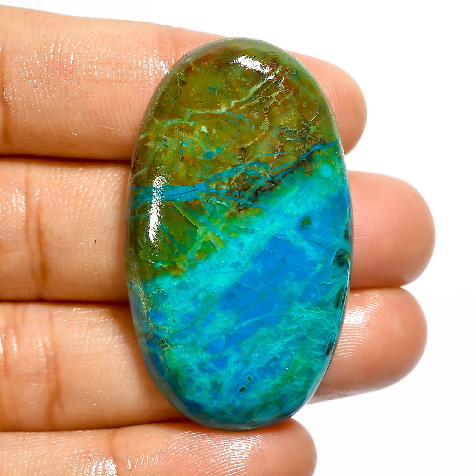 Parrot Wing Chrysocolla GemstoneDesigner Parrot Wing | Etsy