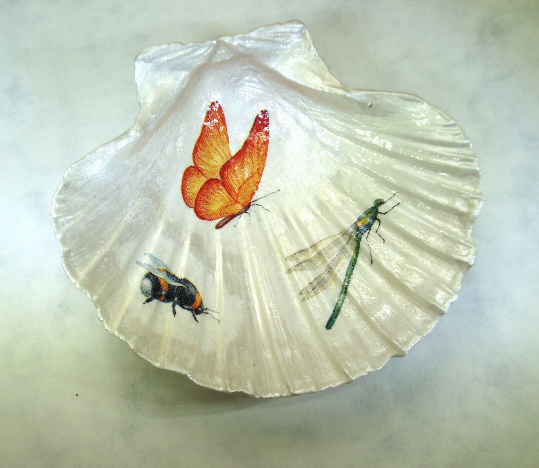 Scallop Shell Decoupaged With Butterfly, Dragonfly and Bee. Trinket ...