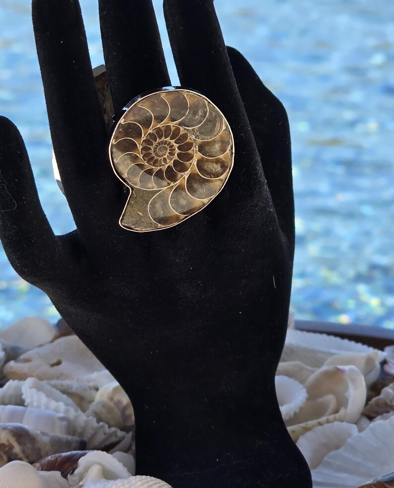 Seashell Ring: Boho Beach Jewelry, Adjustable Band - Etsy