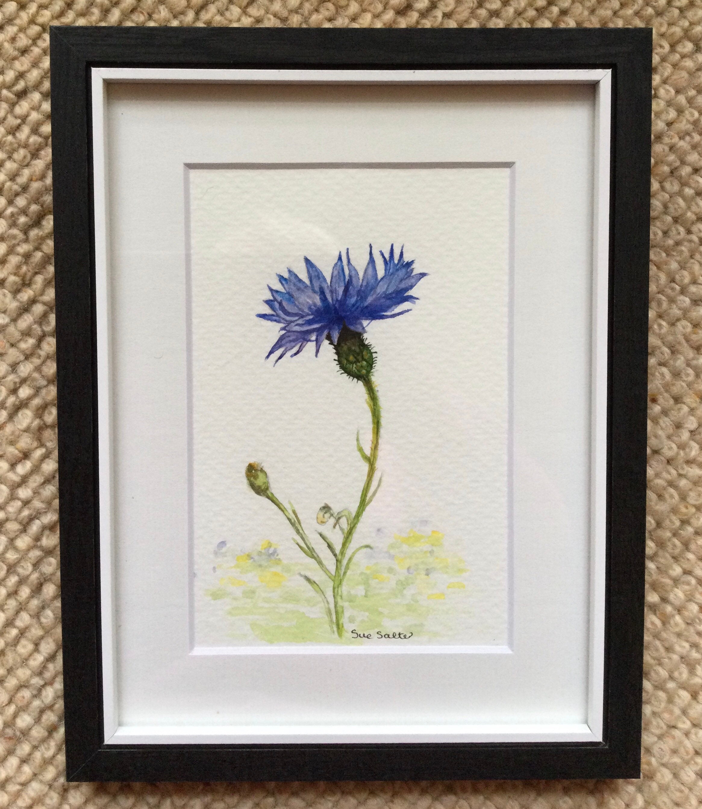 A Susan Salter Artist framed and signed watercolour painting | Etsy