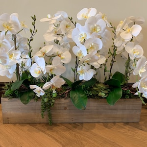 Rectangular Orchid Arrangement - Etsy