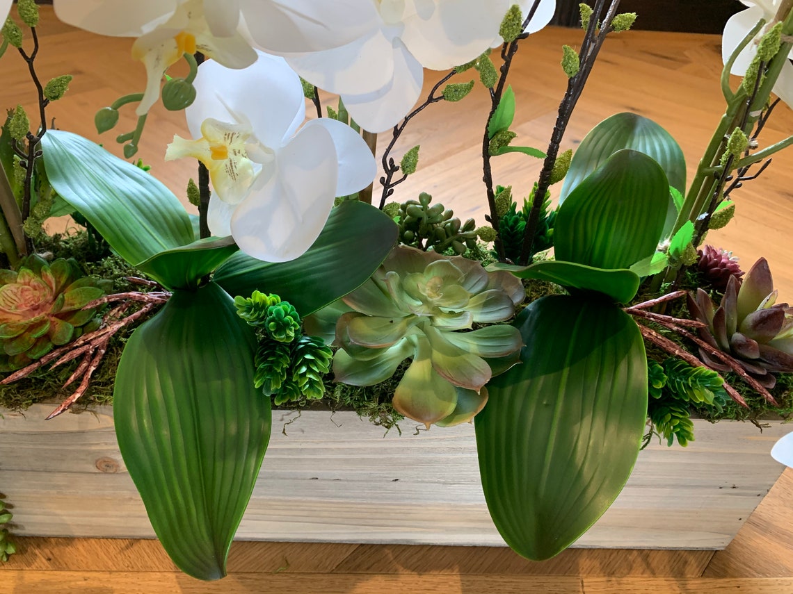 Rectangular Orchid Arrangement - Etsy