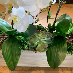 Rectangular Orchid Arrangement - Etsy