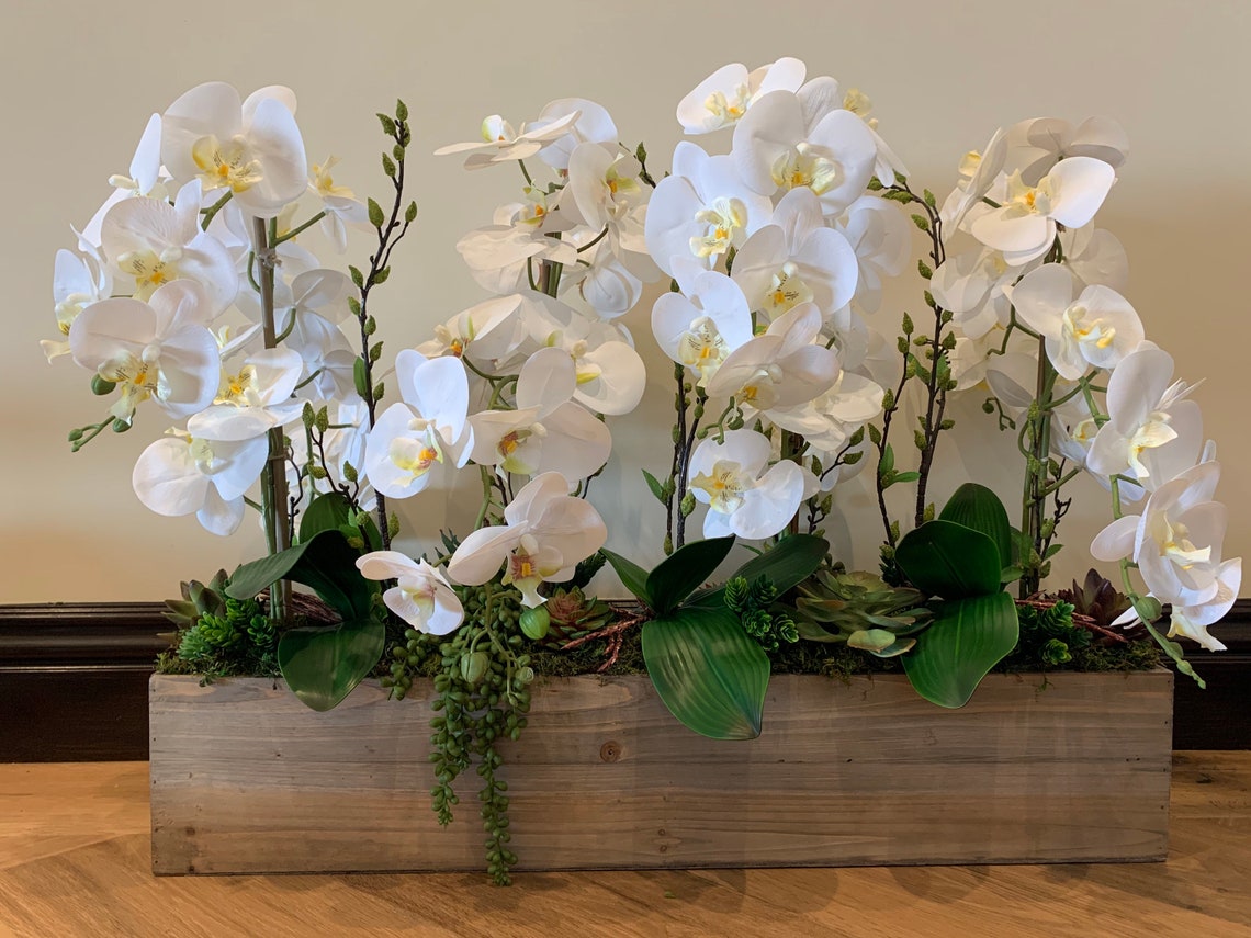 Rectangular Orchid Arrangement - Etsy