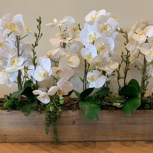 Rectangular Orchid Arrangement - Etsy