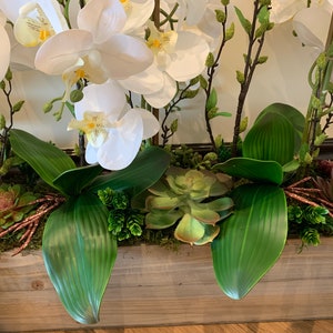 Rectangular Orchid Arrangement - Etsy