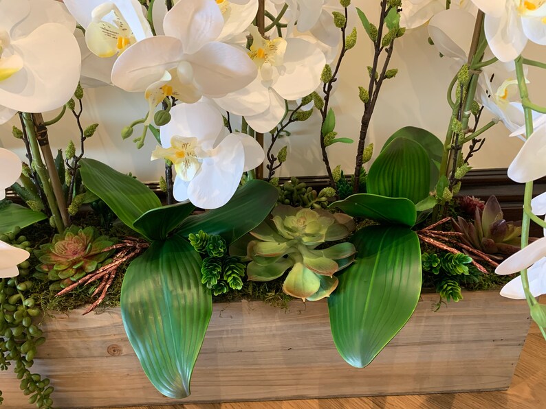 Rectangular Orchid Arrangement - Etsy
