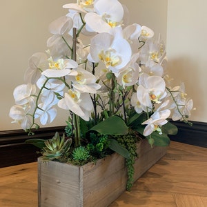 Rectangular Orchid Arrangement - Etsy