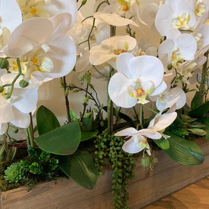 Rectangular Orchid Arrangement - Etsy