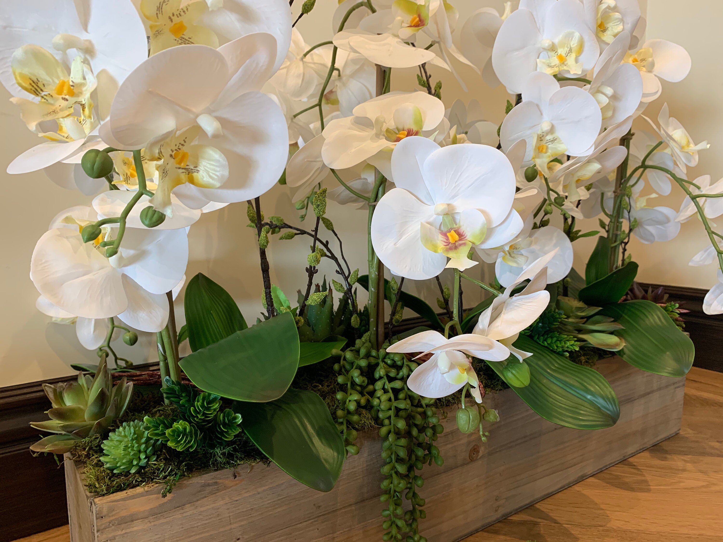 Rectangular Orchid Arrangement - Etsy