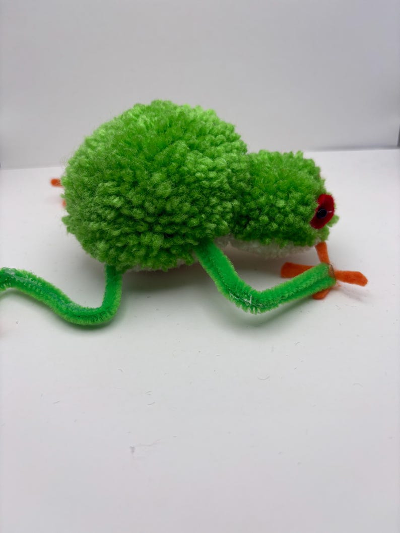 Pom Pom Red-eyed Tree Frog - Etsy