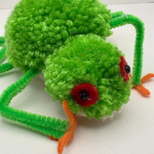 Pom Pom Red-eyed Tree Frog - Etsy