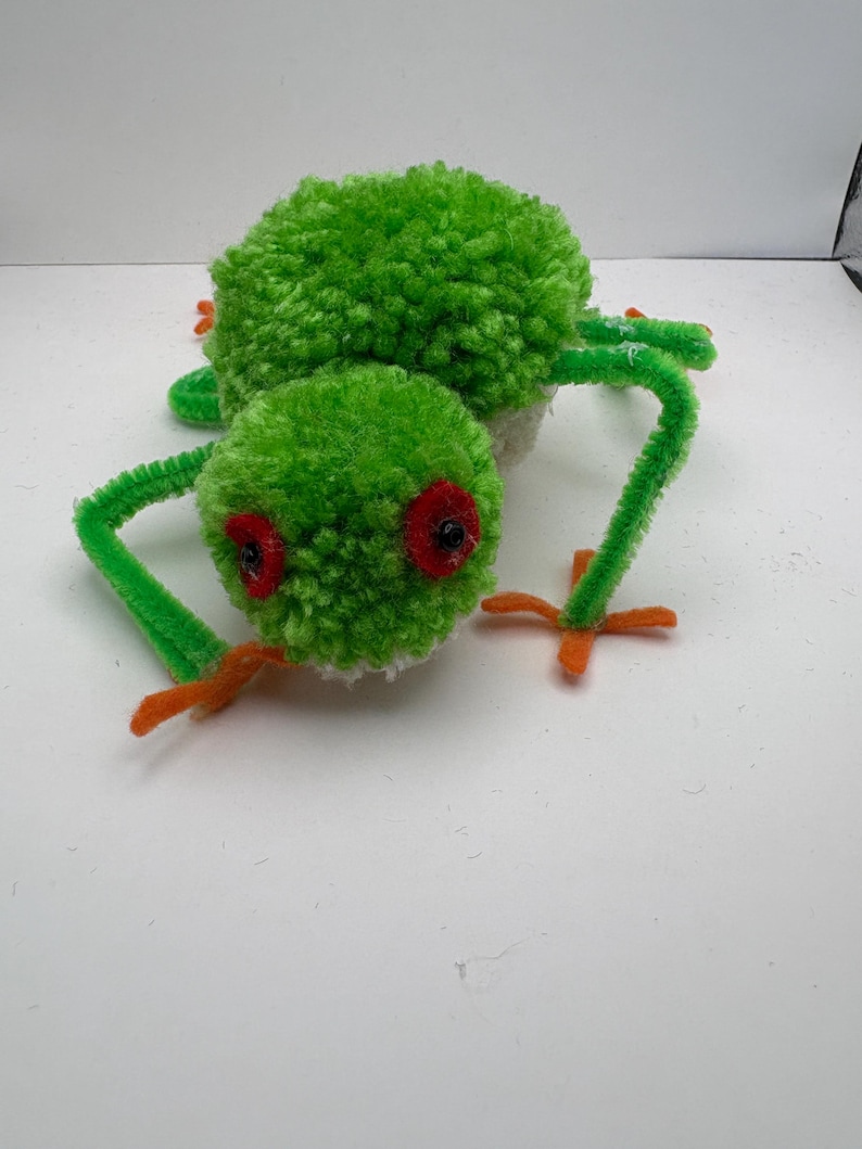 Pom Pom Red-eyed Tree Frog - Etsy