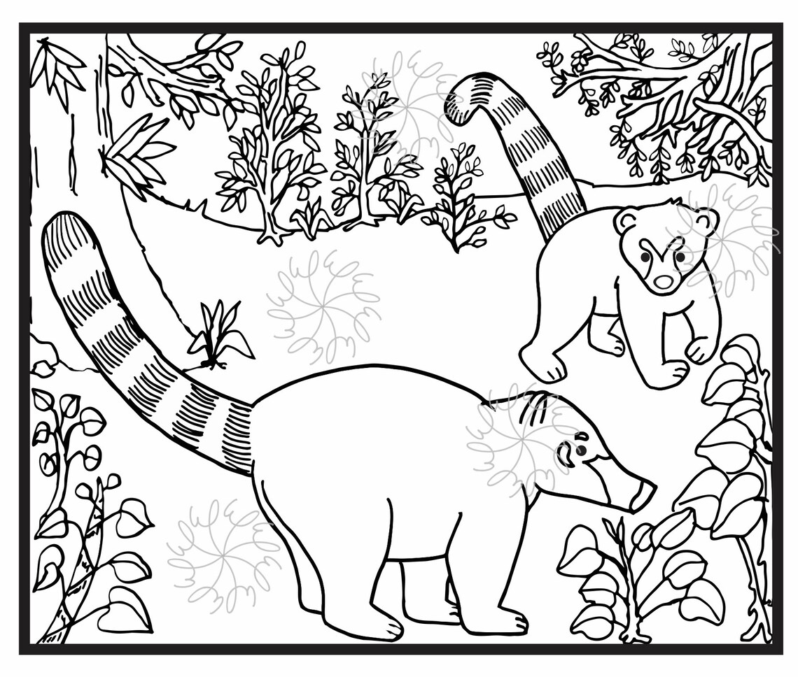 Coloring Page for Adults Coloring Page Printable Coati - Etsy